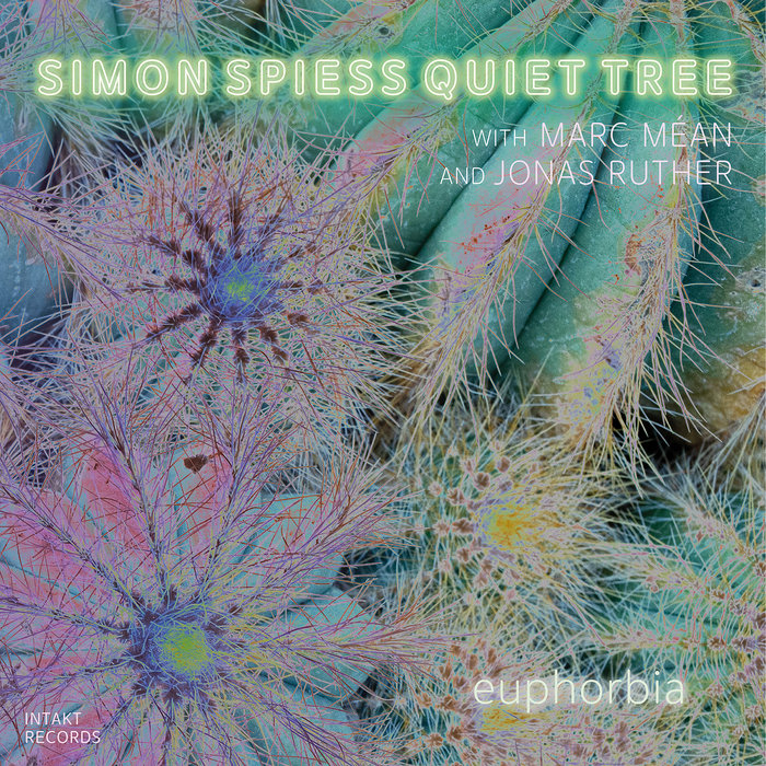 Euphorbia (24bit Hi-Res 48khz) | SIMON SPIESS QUIET TREE with Marc Méan ...
