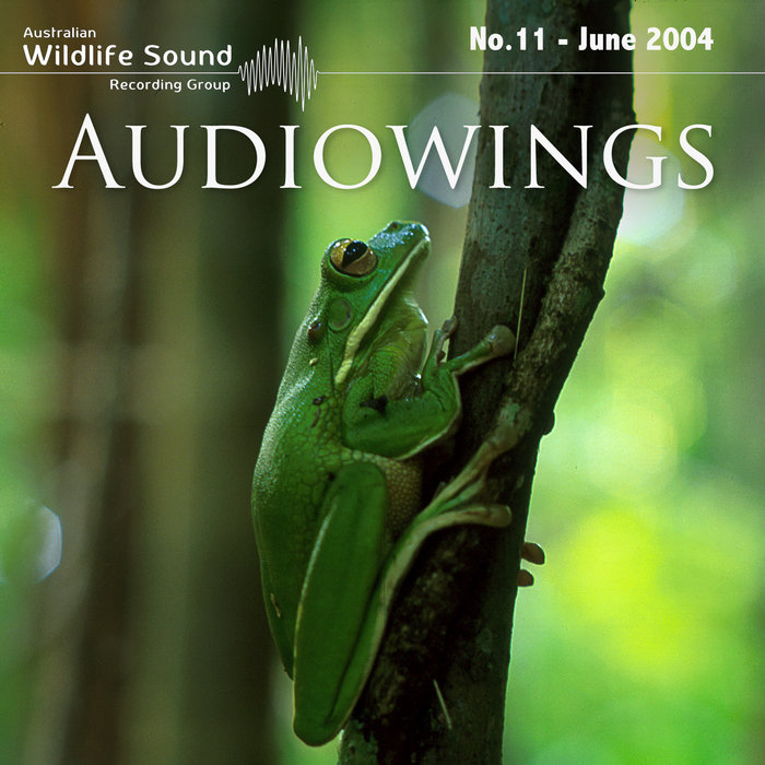 Frog chorus, 11 species (DS) | Australian Wildlife Sound Recording Group