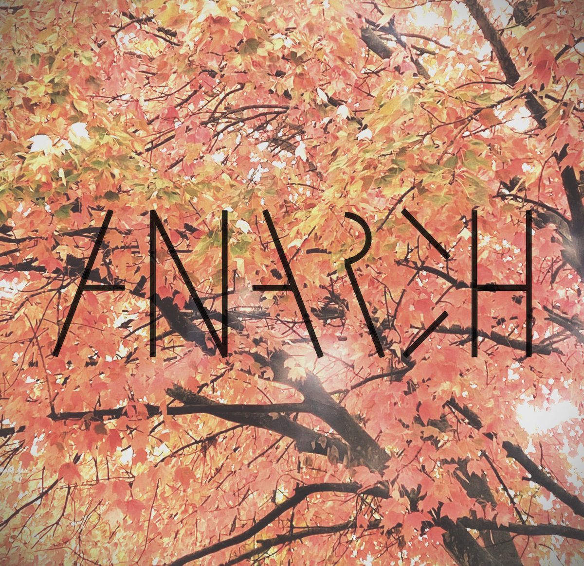 We Wound The Ones We Love | Anarch | Dungeon Squid Productions