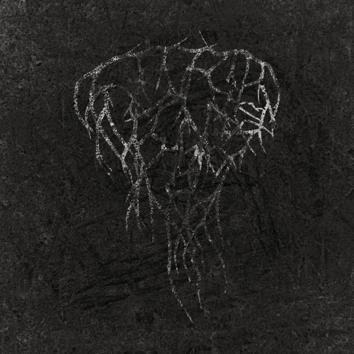 The Harbinger | Stories Bones Tell