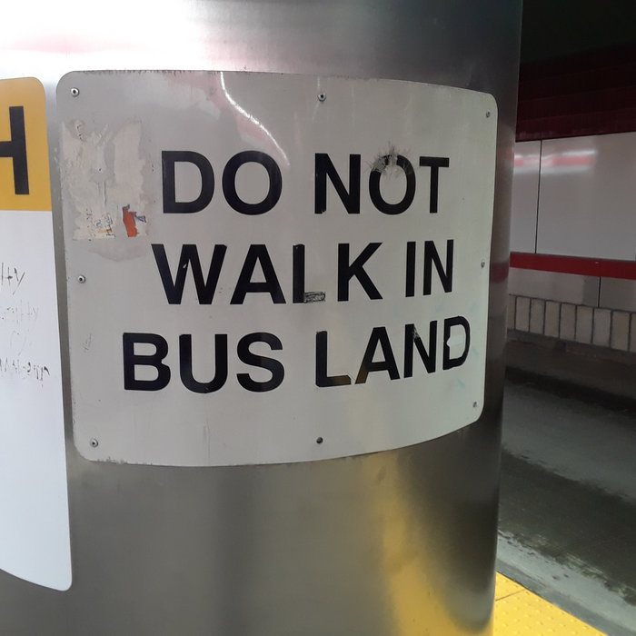 Bus Land | Nicholas Panagakos