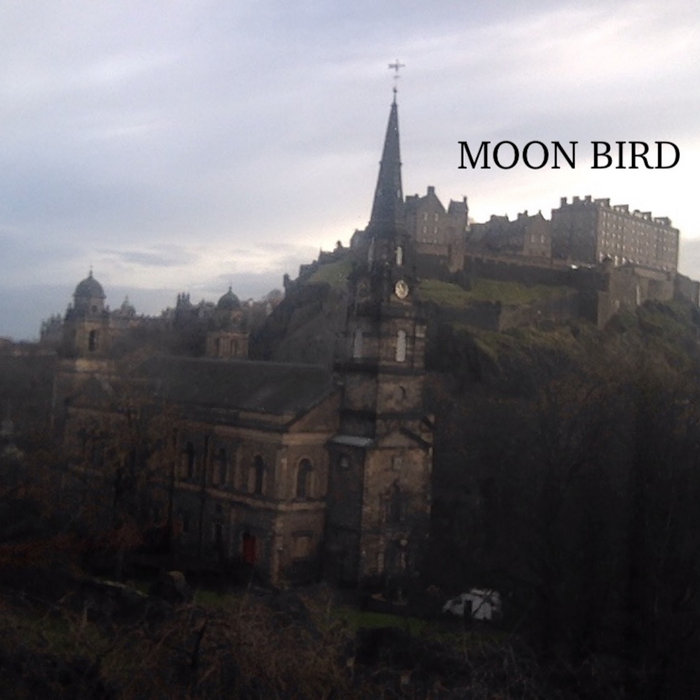 Sam Pace Van Amburgh | Moon Bird