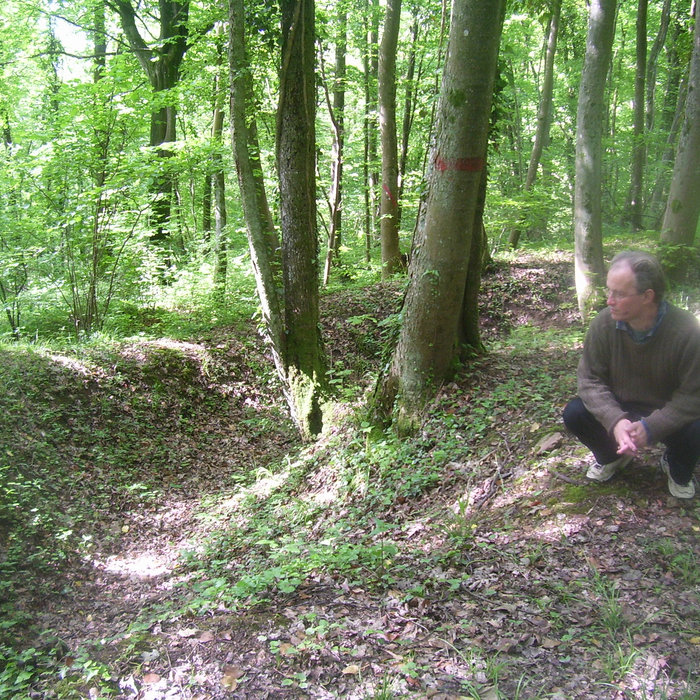 Will ye go to Flanders? | Ken Baake