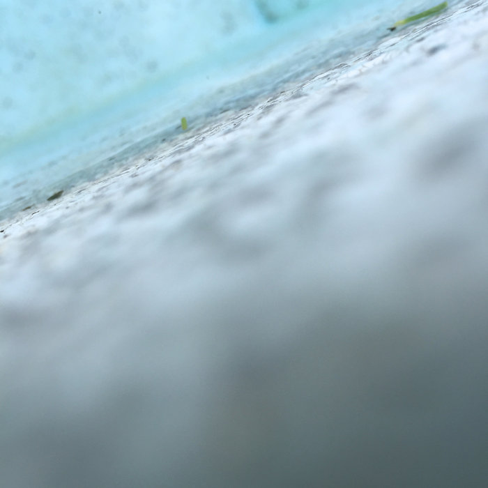 Translucent Being | Gregory Lenczycki