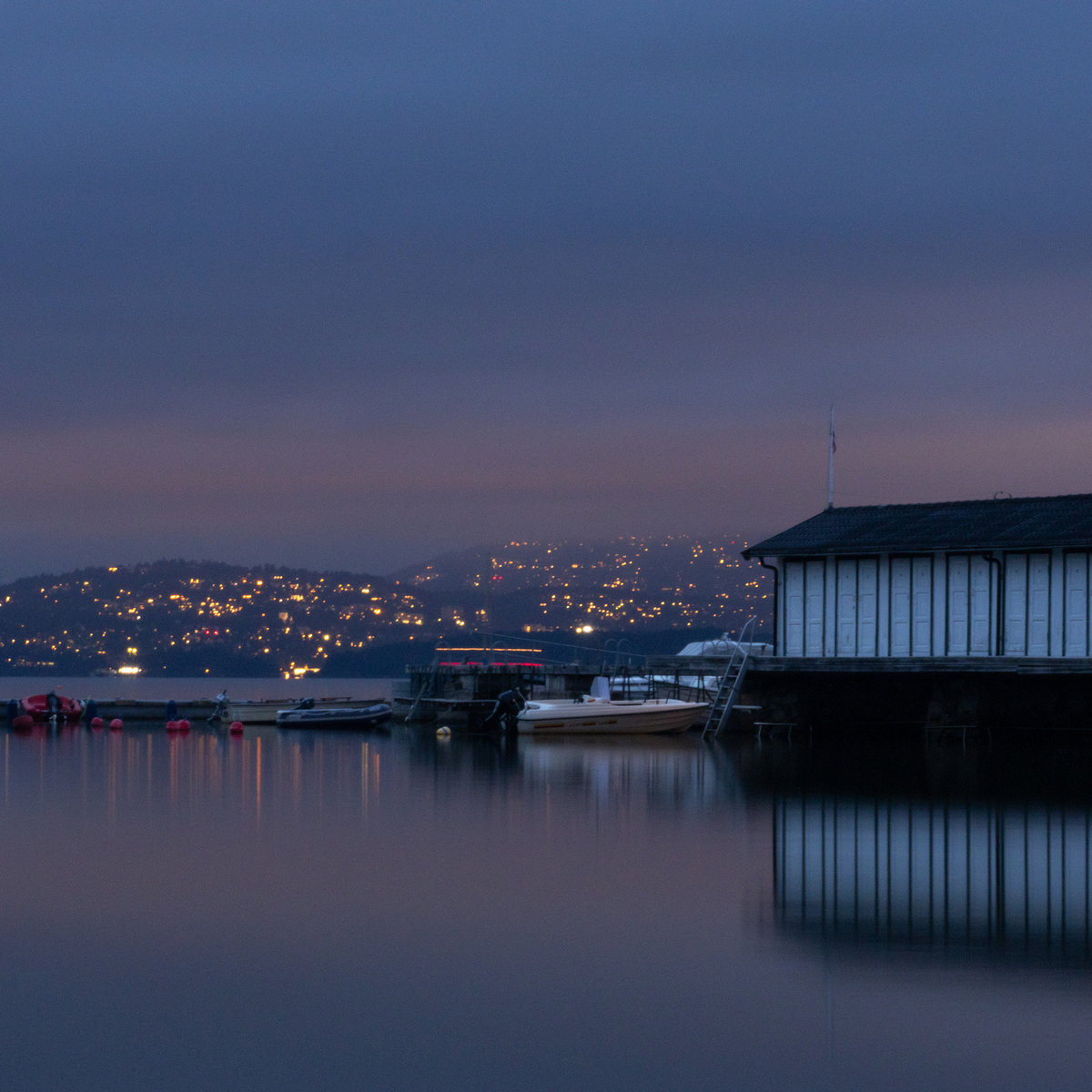 Seaweed | HM Surf | Purple Theory Records