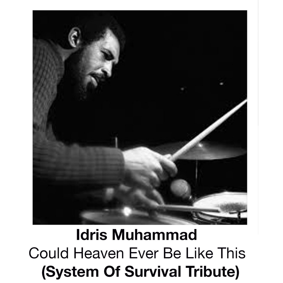 Idris Muhammad - Could Heaven Ever Be Like This (System Of Survival ...