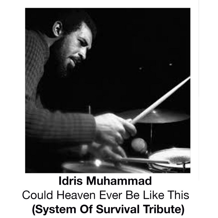 Idris Muhammad - Could Heaven Ever Be Like This (System Of Survival ...
