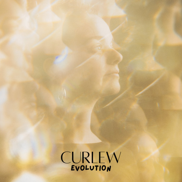 Evolution | Curlew
