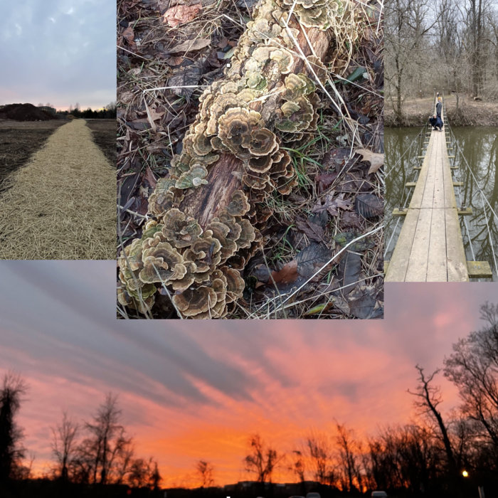 three phones and the fourth phone in the sky | HEATRR