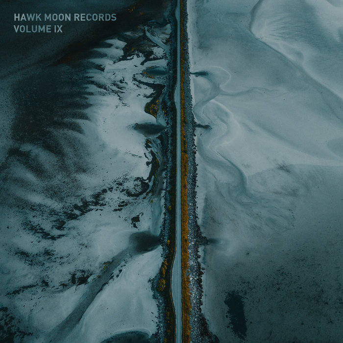 Hawk Moon Records: Volume IX | Hawk Moon Records