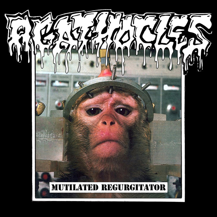 Agathocles ‎– Mutilated Regurgitator CD | NO BREAD! records