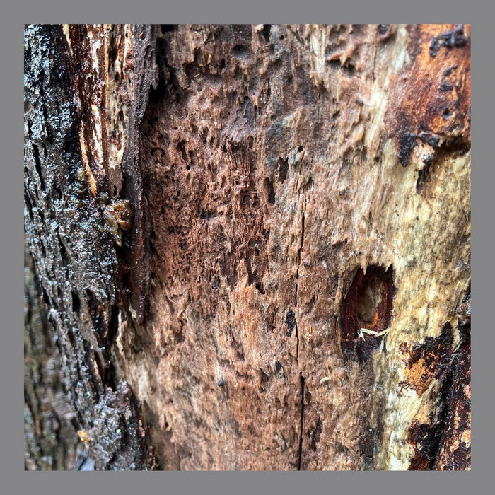 End of the Year Piano 2024 | Brett Graves