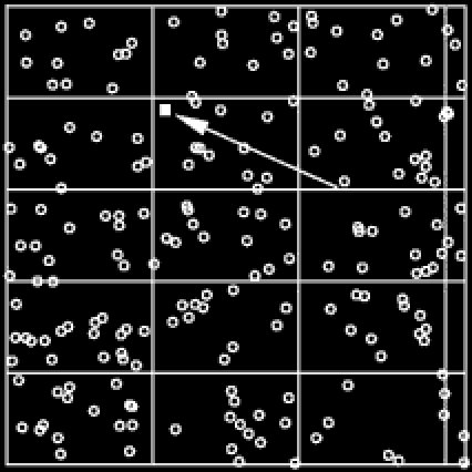 Grid People | Grid People