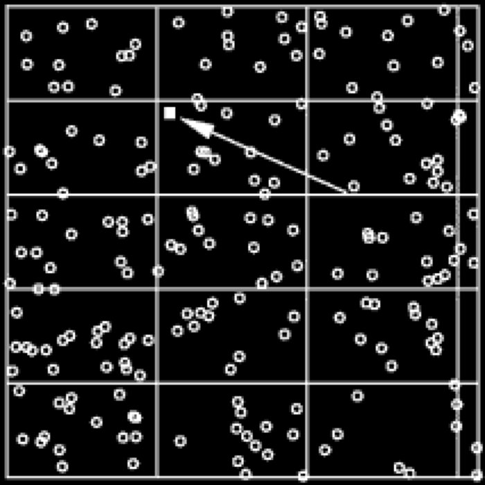 Grid People | Grid People