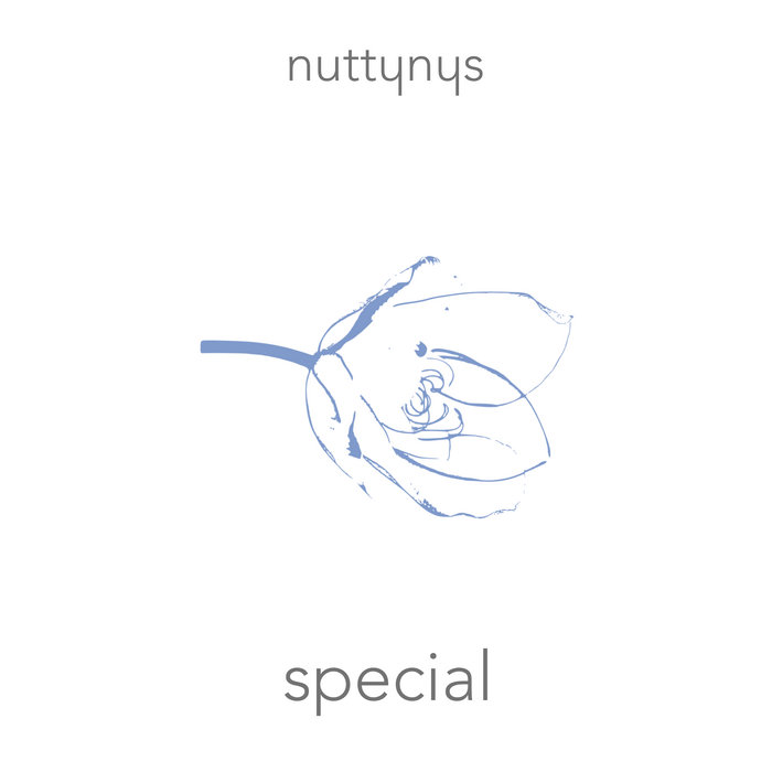 Special | Nutty Nys