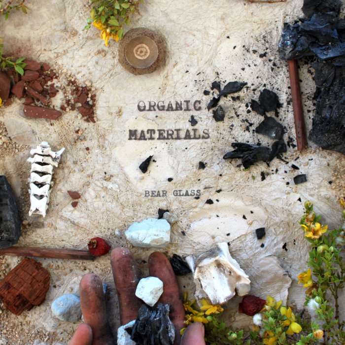 Organic Materials | Bear Glass | Transitory