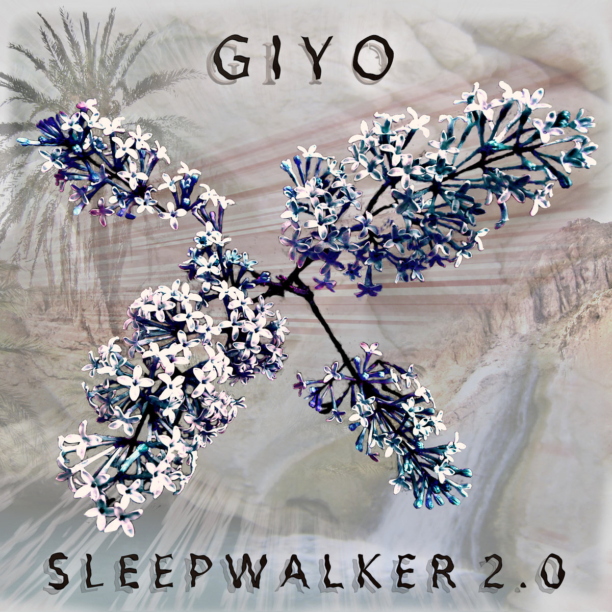 Sleepwalker 2.0 (LP) | Giyo