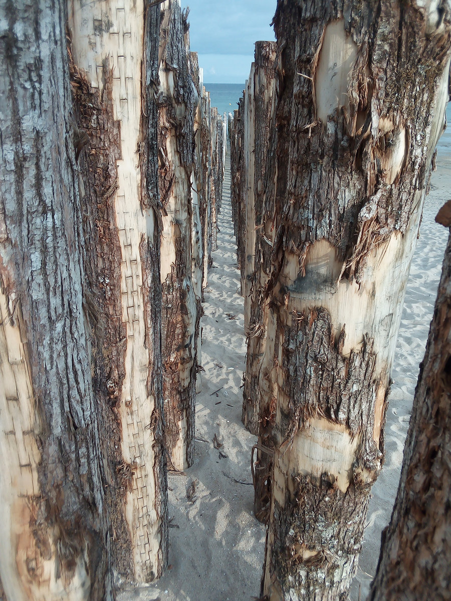 Anglo-French Urban & Ambient 3 | Tony Stowers