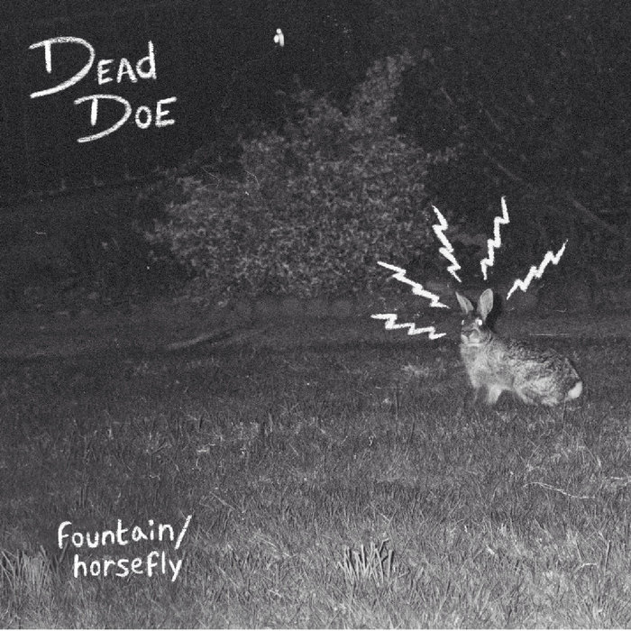 Fountain/Horsefly | dead doe