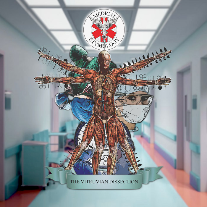 Medical Etymology - The Vitruvian Dissection | Medical Etymology ...