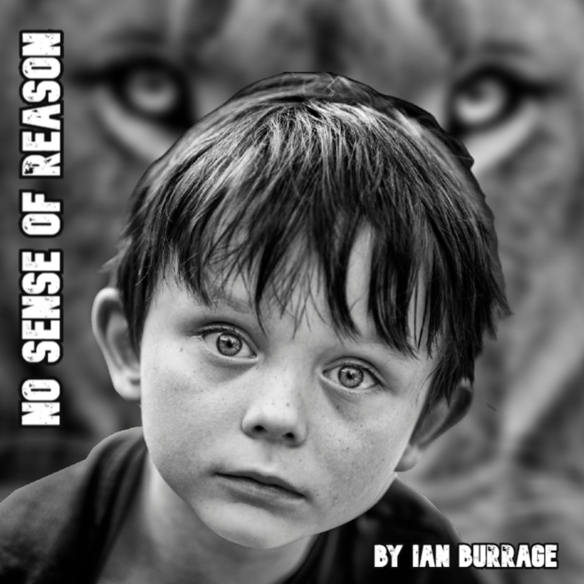 No Sense of Reason | Ian Burrage