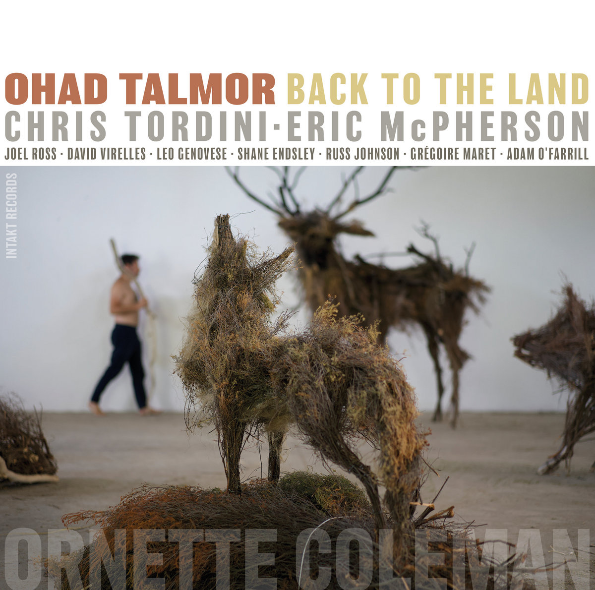 Back To The Land (24bit Hi-Res 44.1khz) | OHAD TALMOR with Chris ...