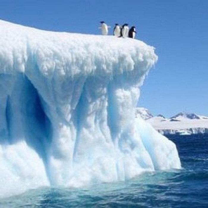 MUSIC PLAYHOUSE | Samuel Edna