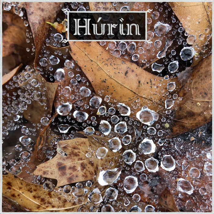 Hidden Forest | Húrin