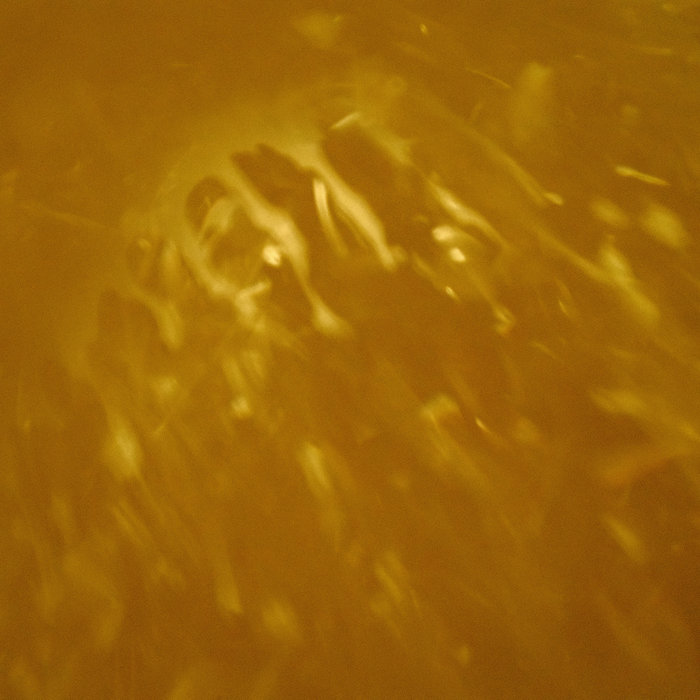 xo-gram | Cody Scarff