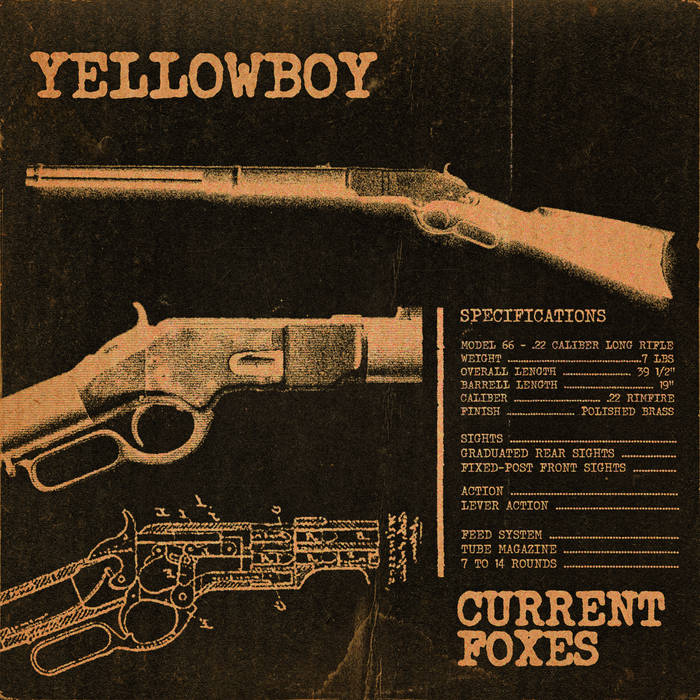 Yellowboy | Current Foxes