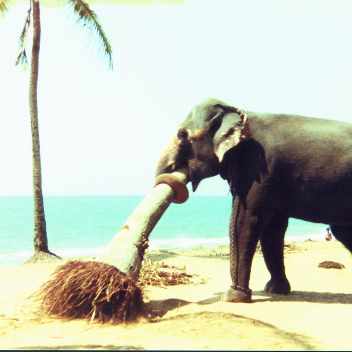 my way | Ideo Locator