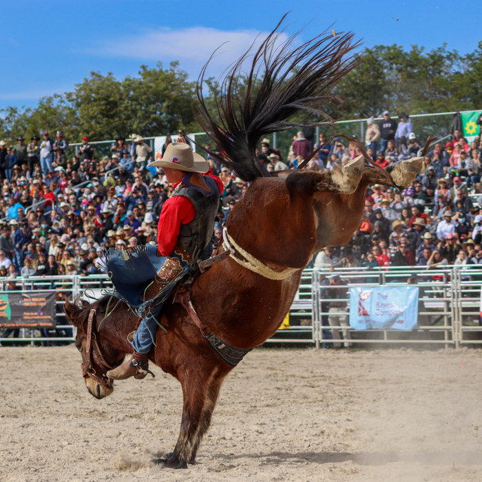 (L I V E S T R E A M s).* Annual Sisters Rodeo 2024 LIVE Coverage Free ...