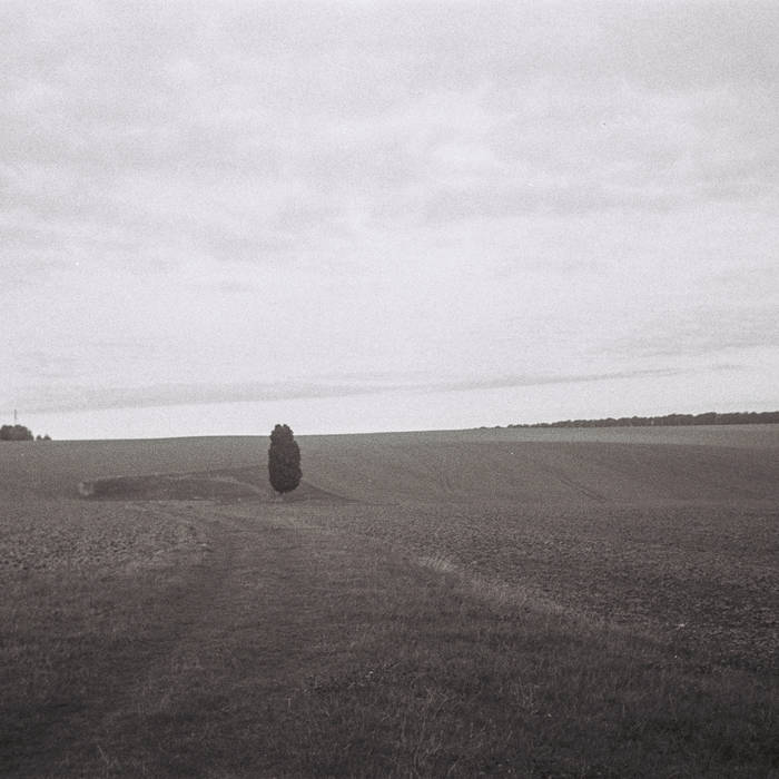 kgkgkg's collection | Bandcamp