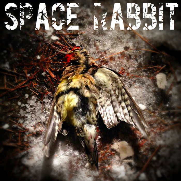 DIY Demos II | Space Rabbit