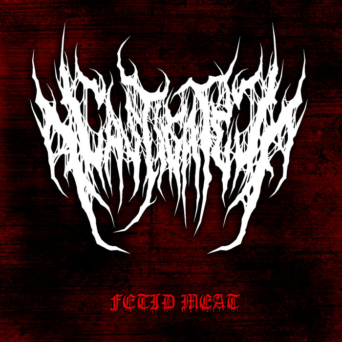 Fetid Meat (Feat. Bryce Leere) | Castigated