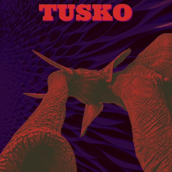 A Lead Tortoise Named Juniper | Tusko | TUSKO