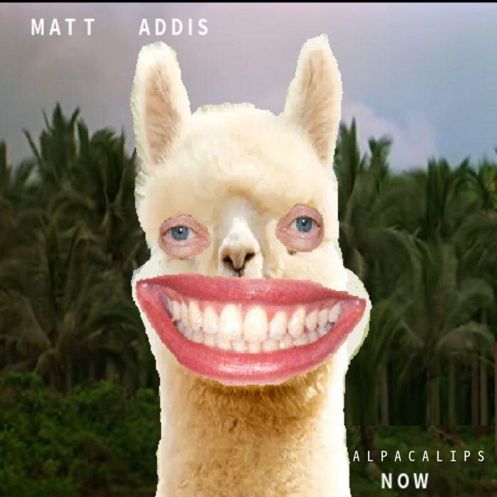 Alpaca Lips Now | matt addis