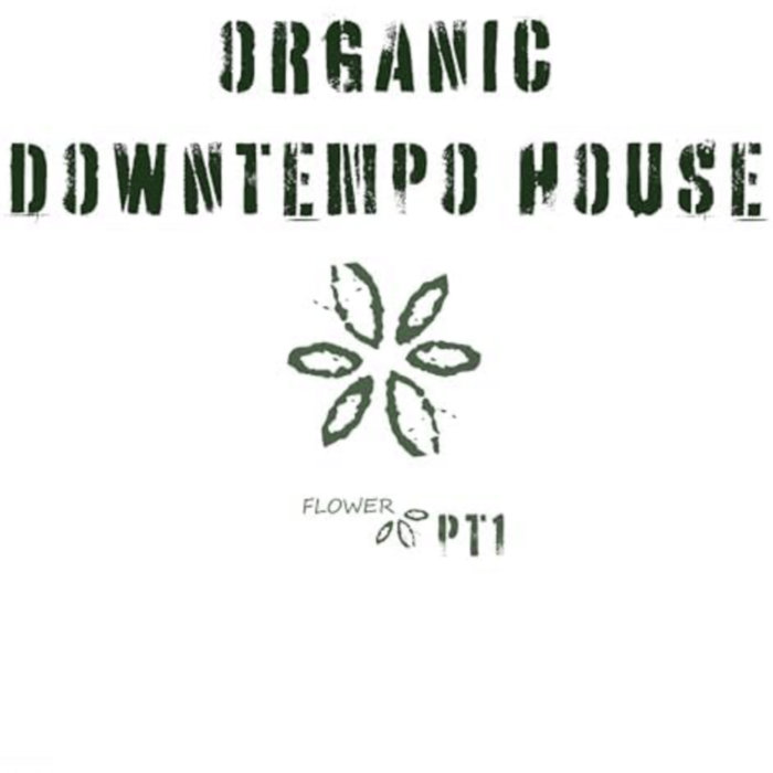 Organic House & Downtempo 2025 (V1) | Chill & Groove, JayDee Martin ...