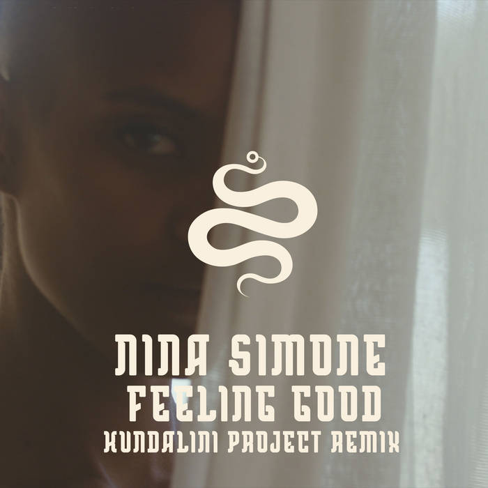 Nina Simone Feeling Good