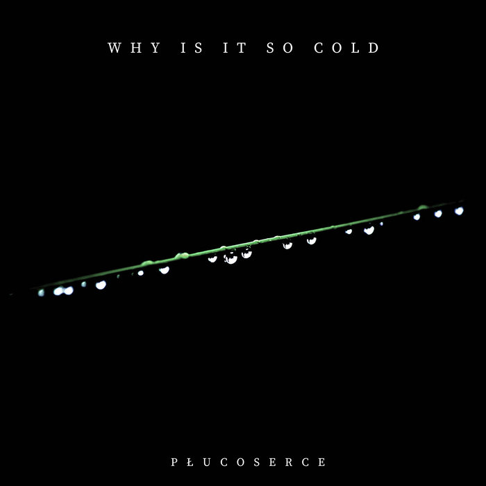 Why Is It So Cold | Single | Płucoserce