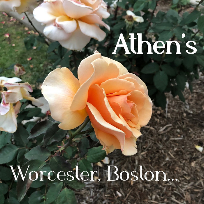 Worcester, Boston... | Athen's