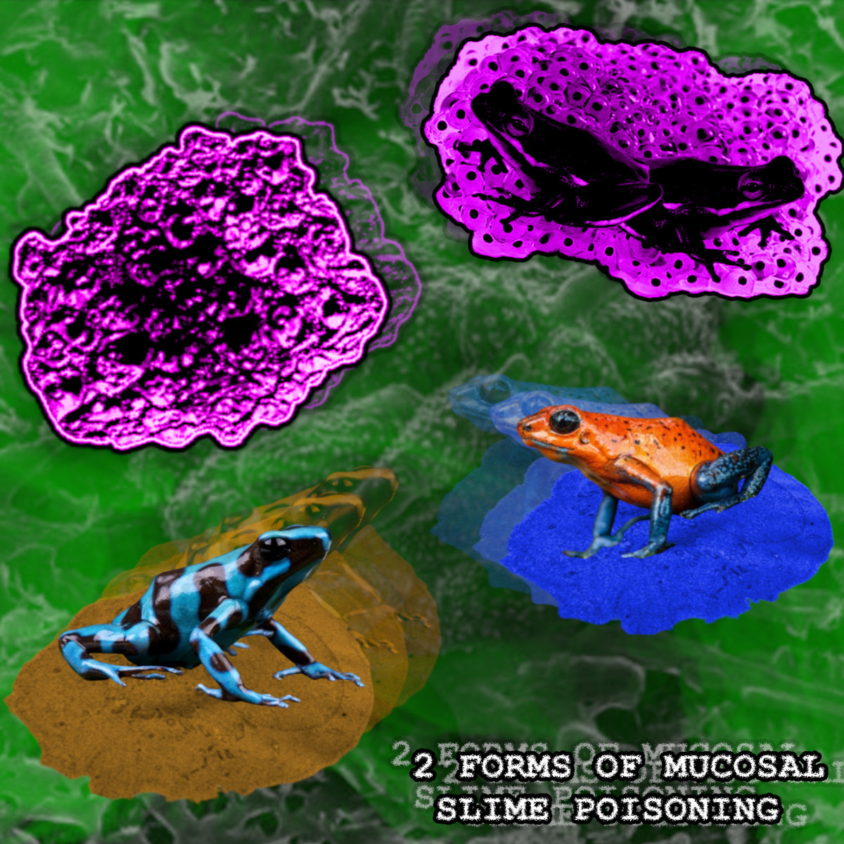 2 Forms Of Mucosal Slime Poisoning | Chthonomonas Calidirosea / Sick ...
