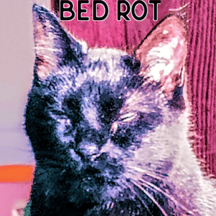 Vines | Bed Rot