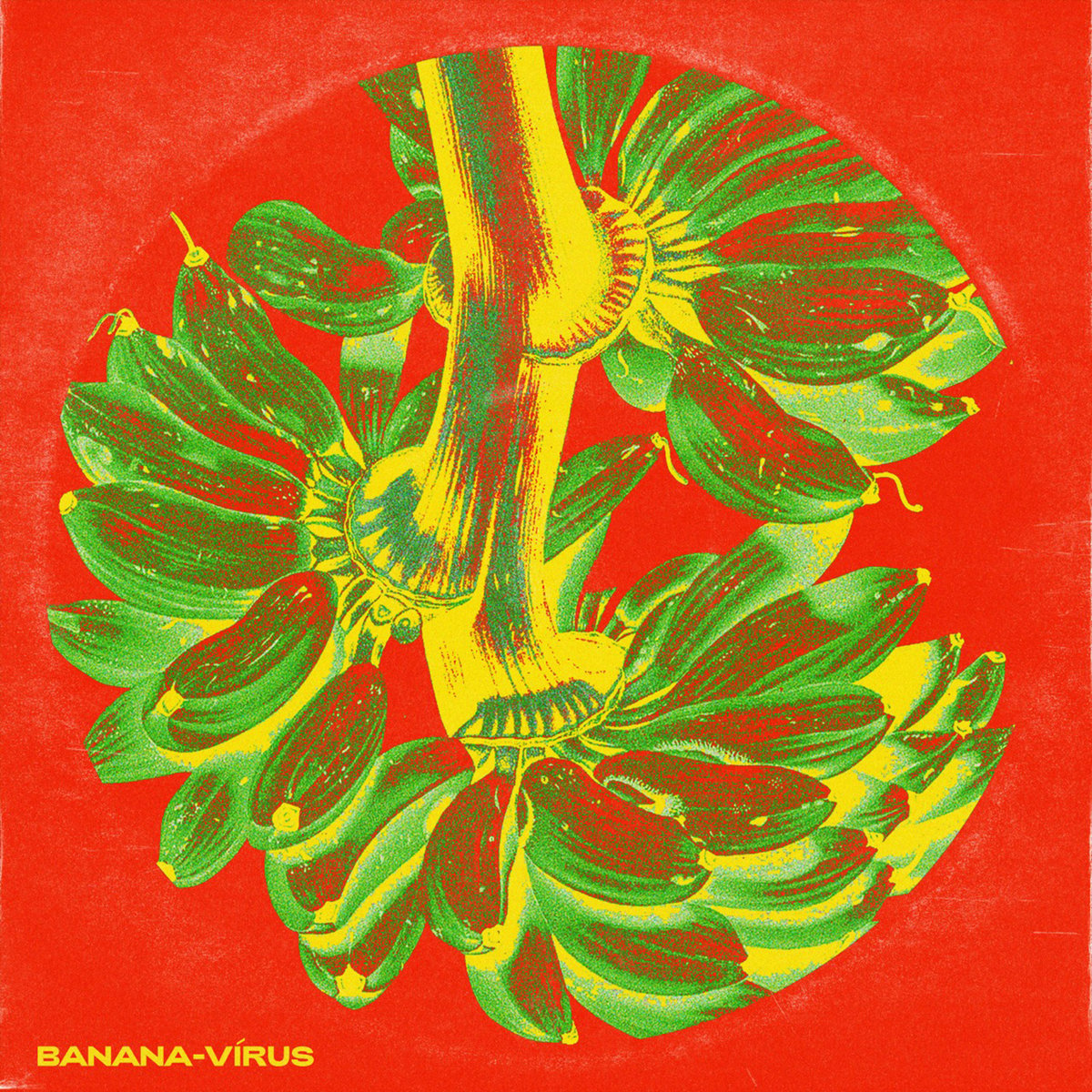 Banana Vírus | Banana Vírus