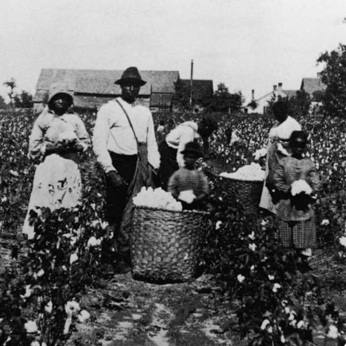 Pick a bale of cotton | FUSER