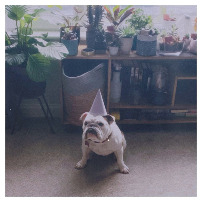 Gloom is Okay | Gloom is Okay