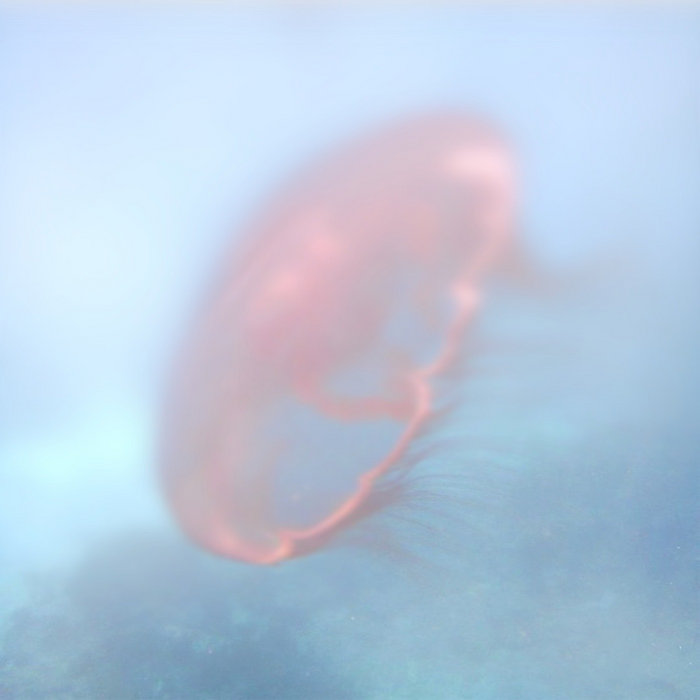 Banana Brain | _goodbyeforever_