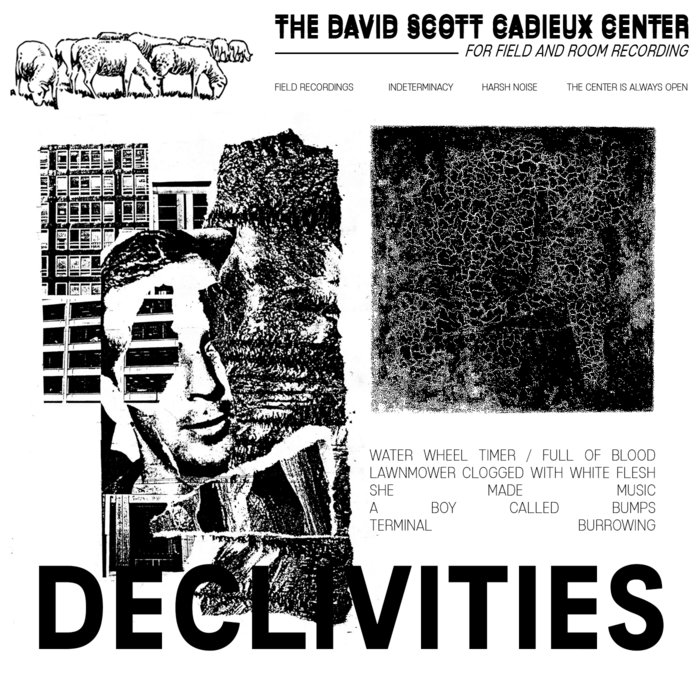 Declivities | The David Scott Cadieux Center for Field and Room ...