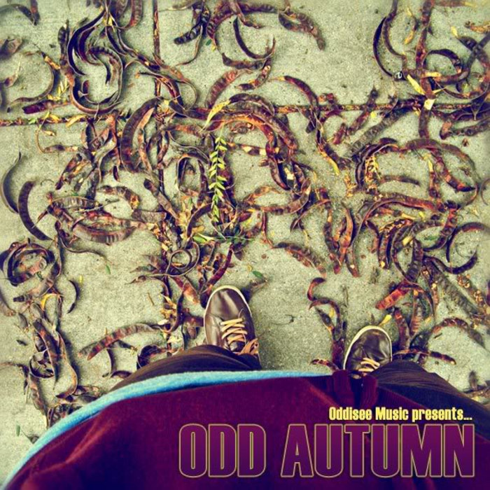 Odd Autumn | Oddisee