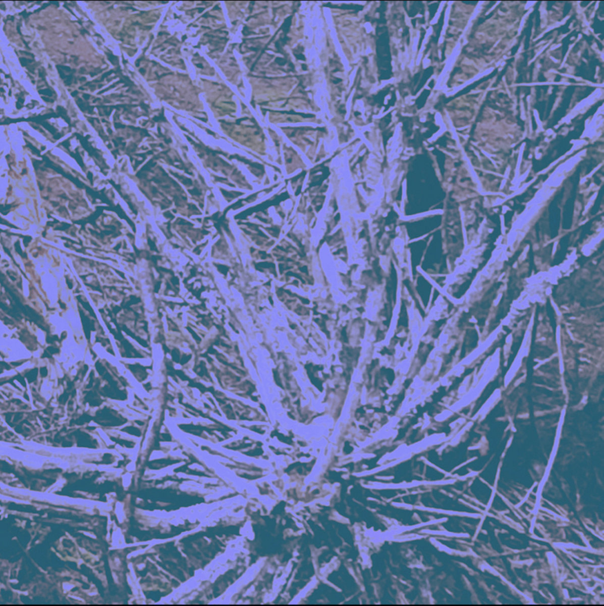 Wave Bye Moon | Blunder